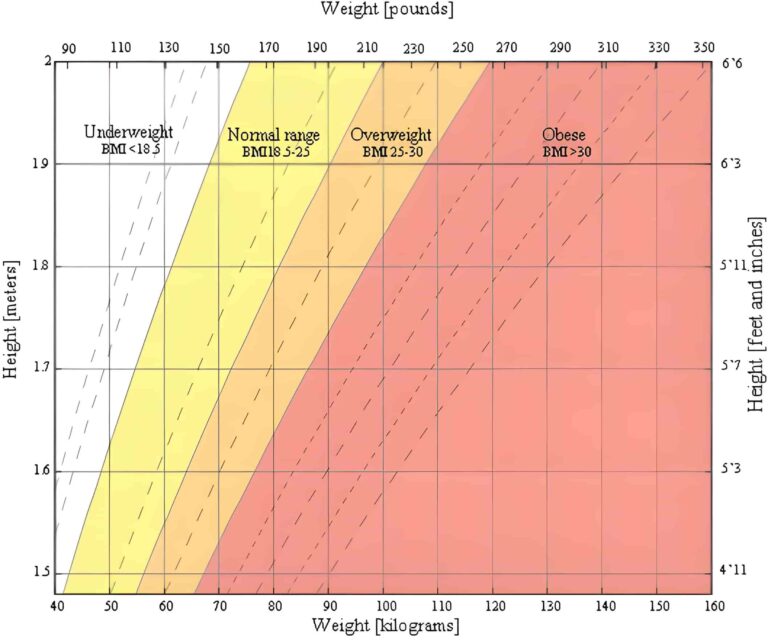 BMI Calculator For Adult (both Men & Women), Calculate Your BMI For Free
